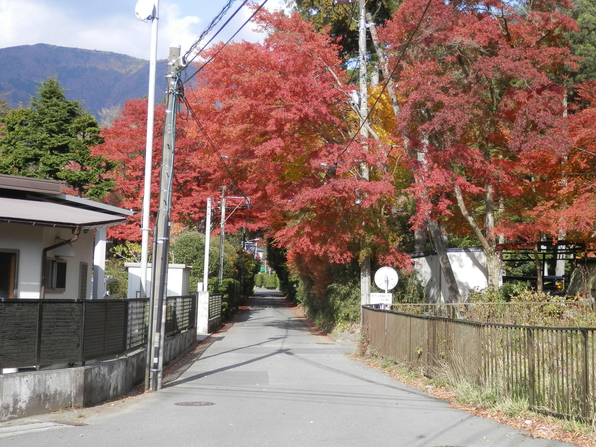 紅葉ツーリング2014（箱根） ツーレポ！